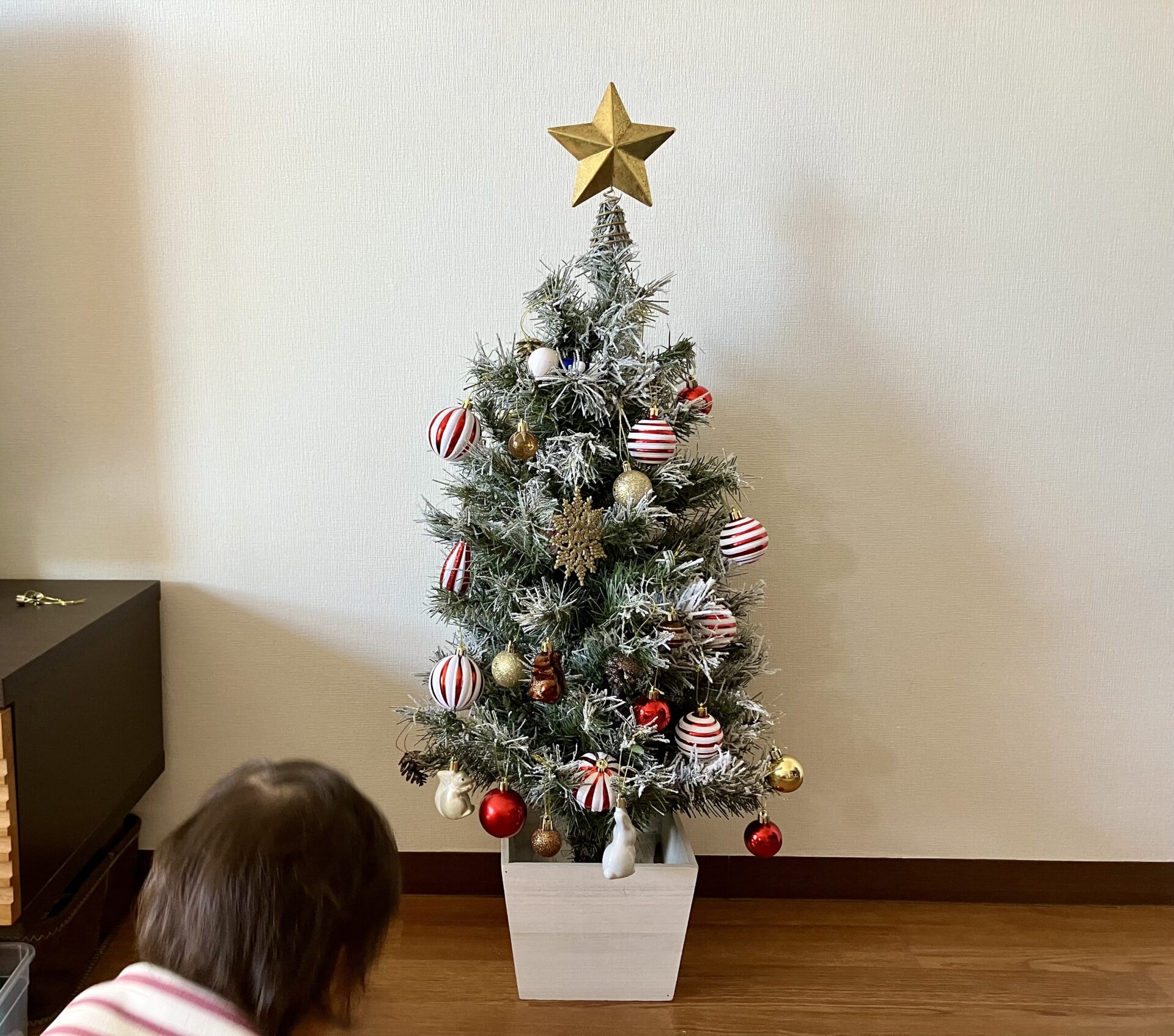 我が家にクリスマスツリーがやってきた！ | ひつじのそらごと